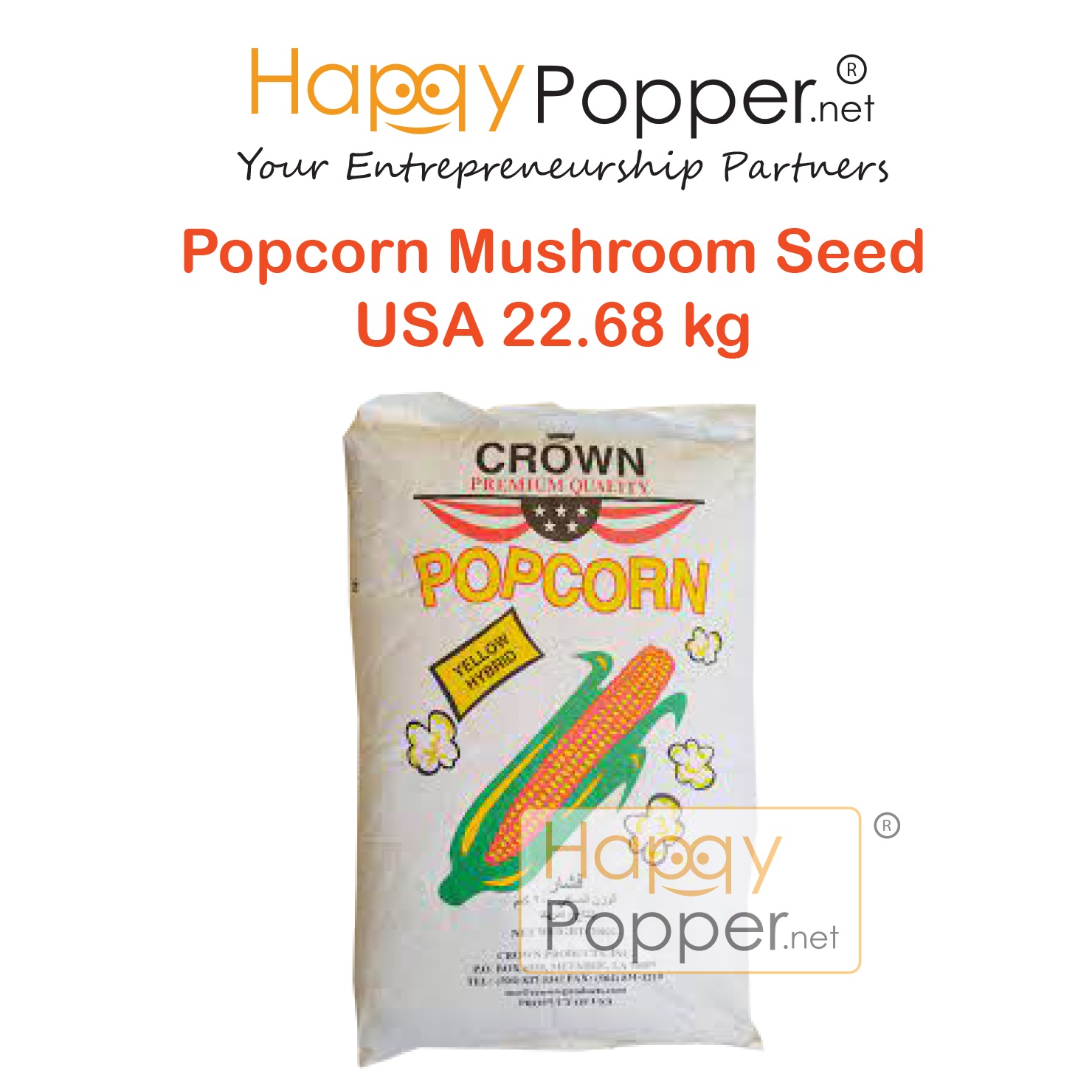 Popcorn Seed Kernel Mushroom ( USA ) 22.68 kg PC-I0035 蘑菇球形爆米花籽粒22.68公斤（美国）