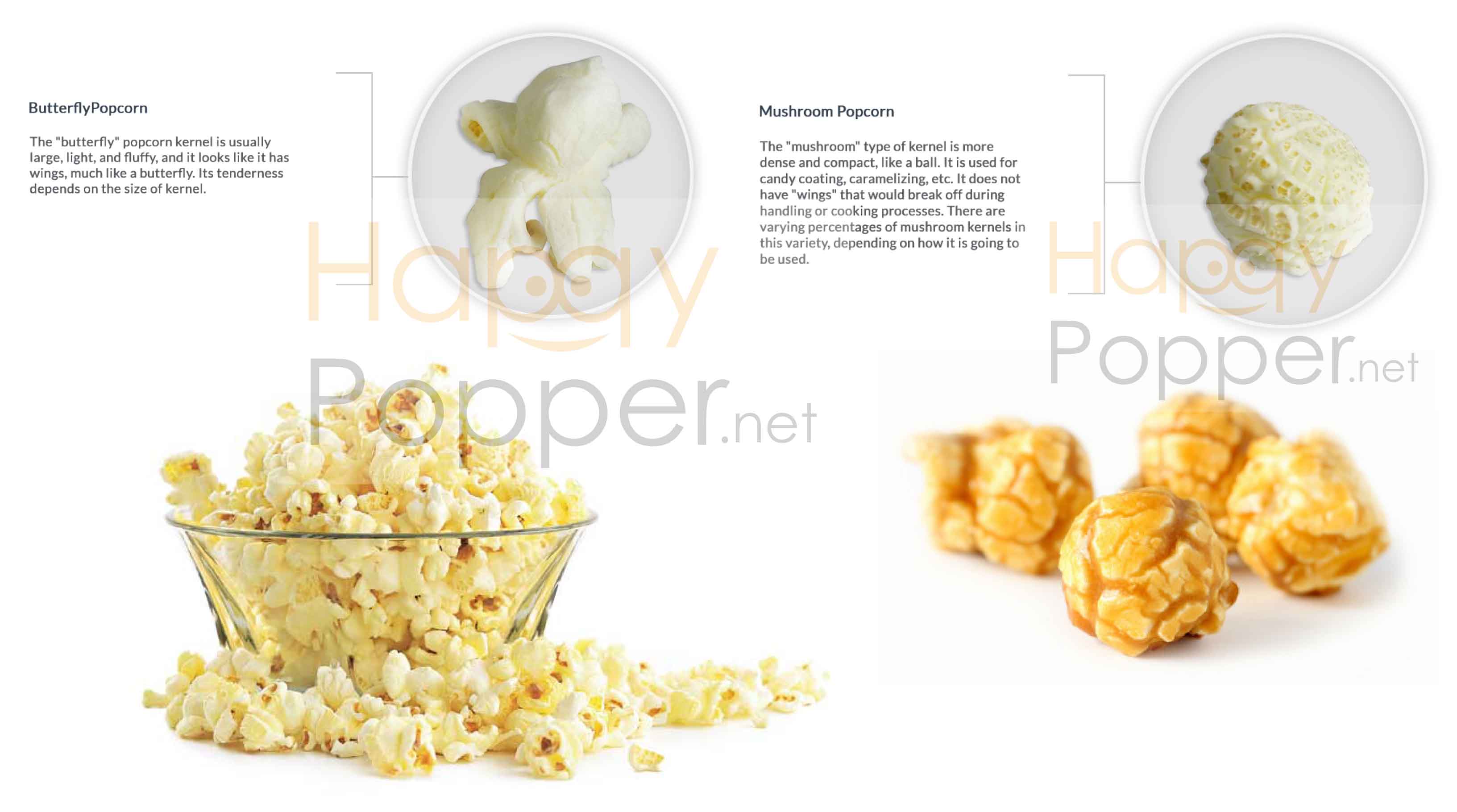 Popcorn Series